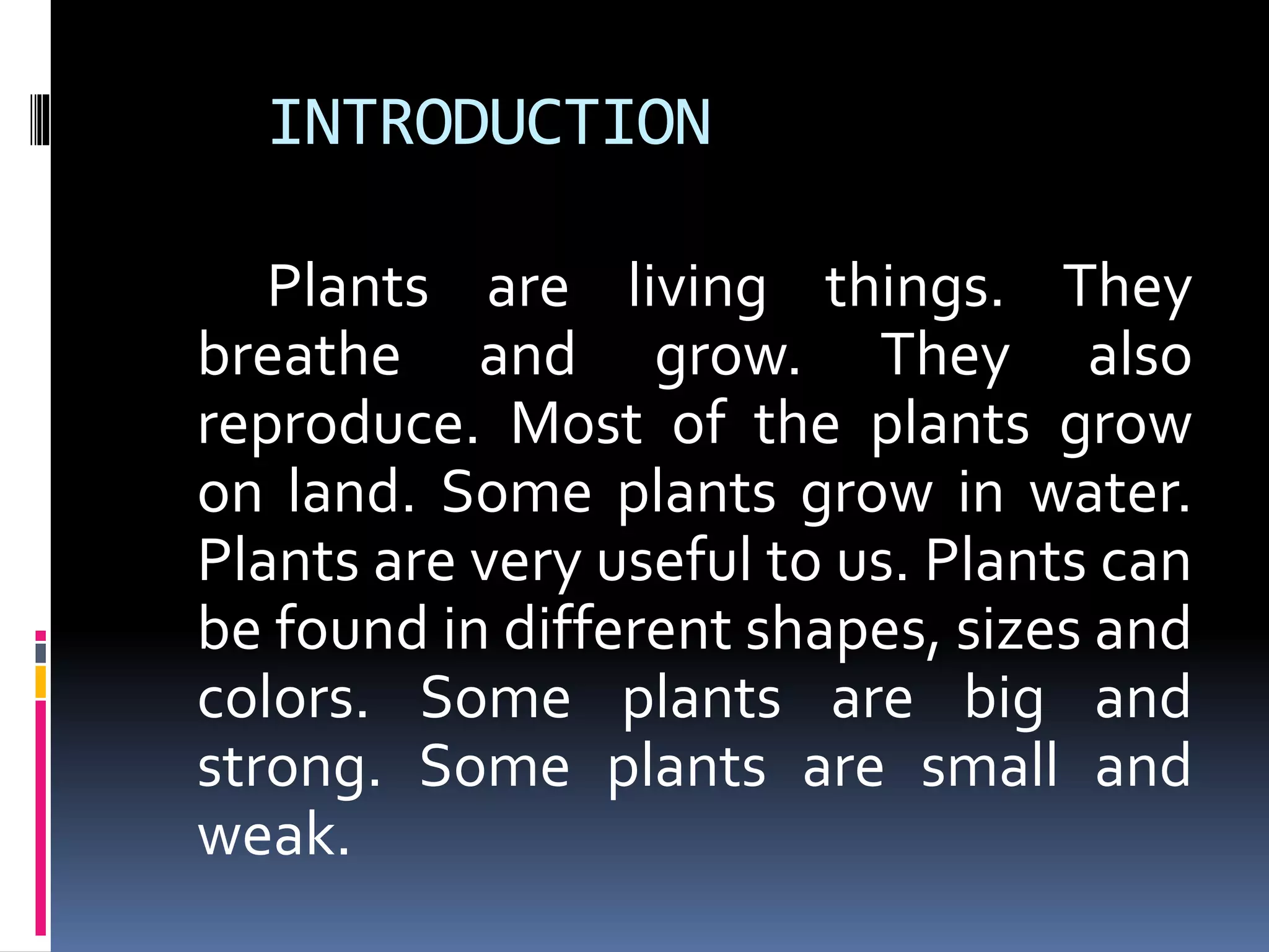 ALL ABOUT PLANTS | PPTX