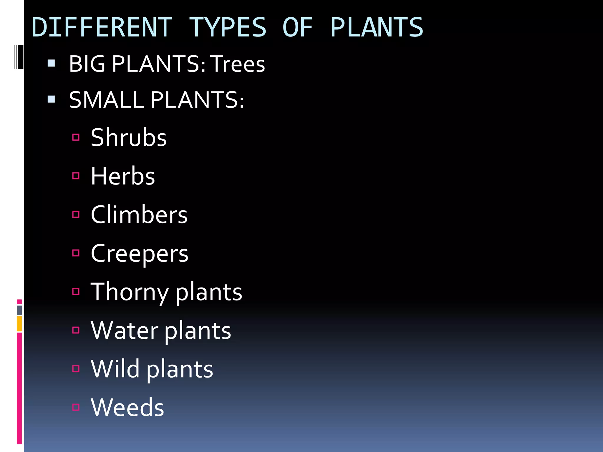 ALL ABOUT PLANTS | PPTX