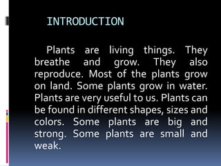 ALL ABOUT PLANTS | PPTX