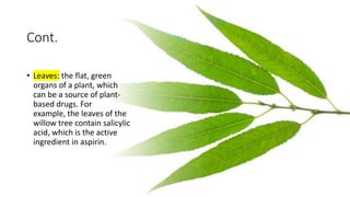 plants as a source of medicine.pptx