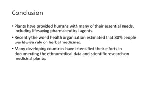 plants as a source of medicine.pptx
