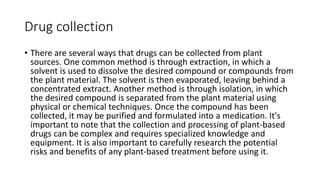 plants as a source of medicine.pptx