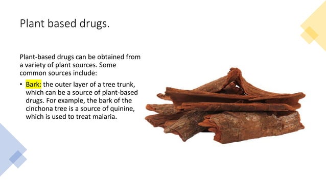 plants as a source of medicine.pptx