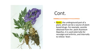 plants as a source of medicine.pptx