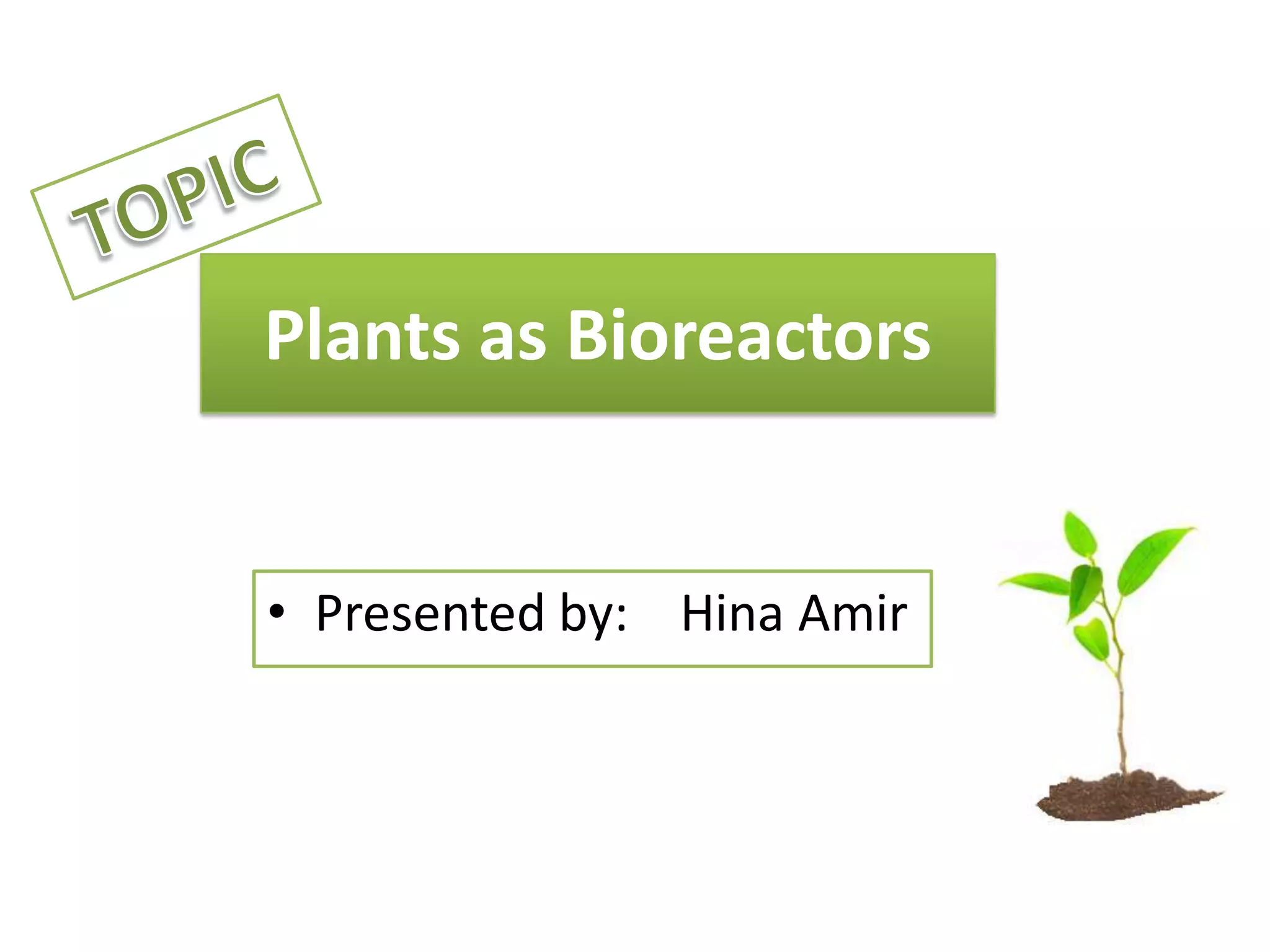 Plants as bioreactor | PPTX