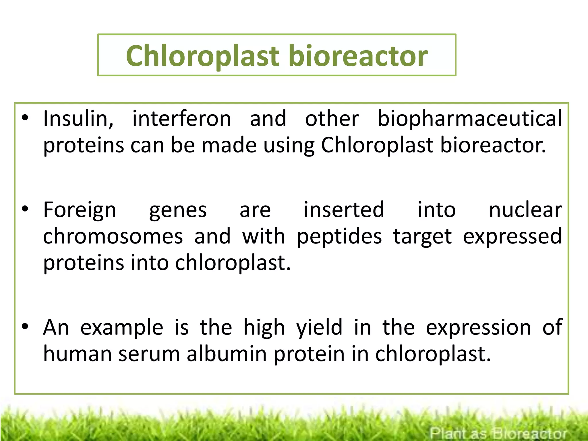 Plants as bioreactor | PPTX