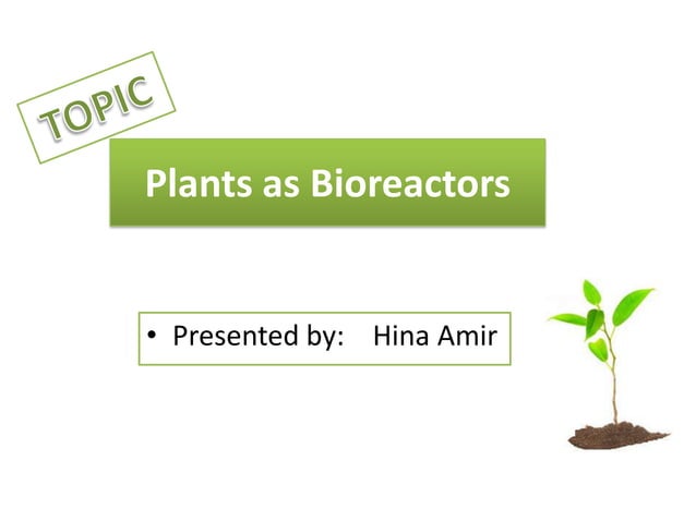 Plants as bioreactor | PPTX | Biotech and Biomedical Industry | Industries