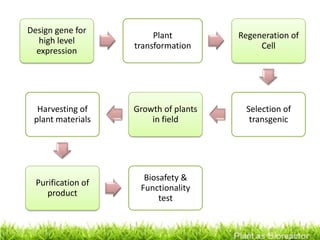 Plants as bioreactor | PPTX