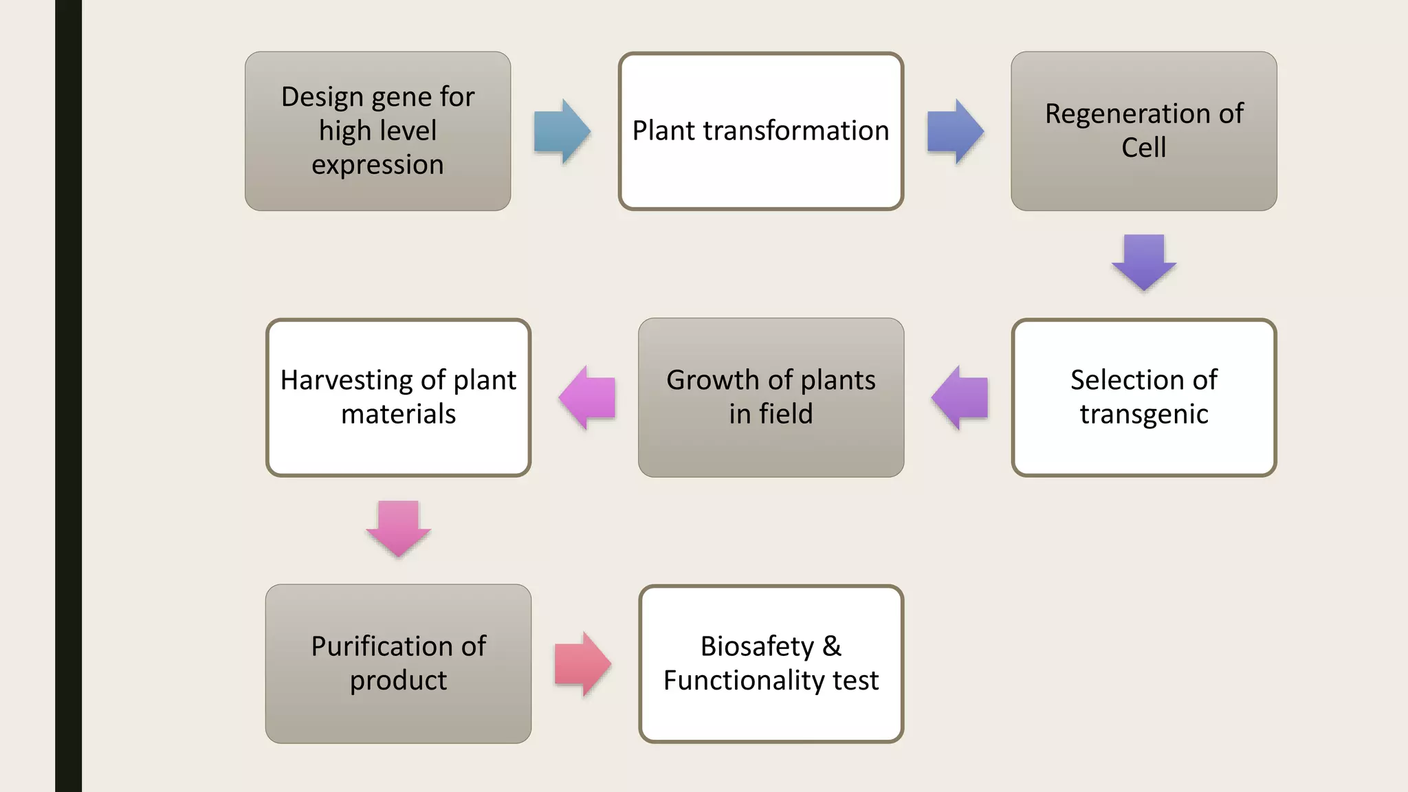 Plants as bioreactors | PPTX