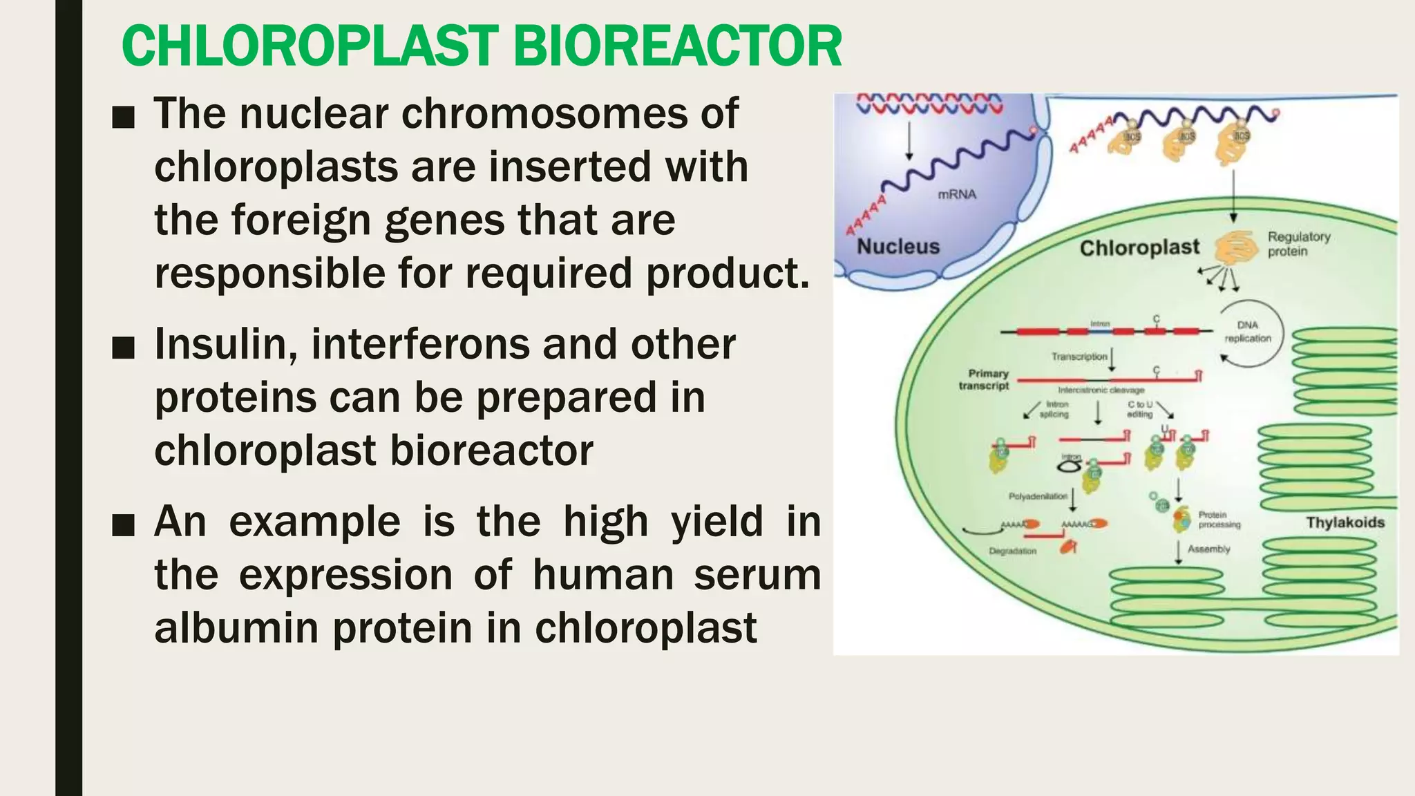 Plants as bioreactors | PPTX
