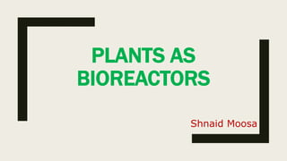 Plants as bioreactors | PPTX