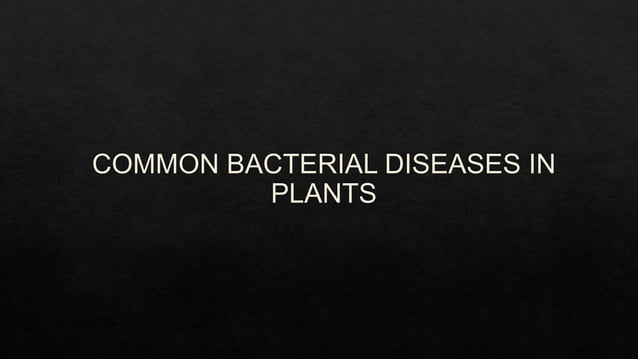 plants bacteria.pptx
