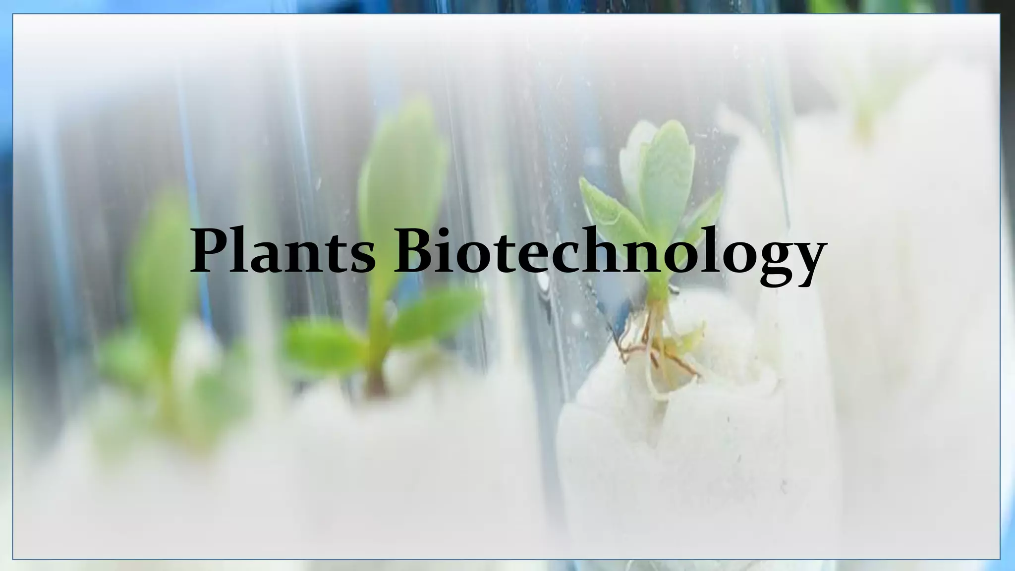 Plants Biotechnology.pptx