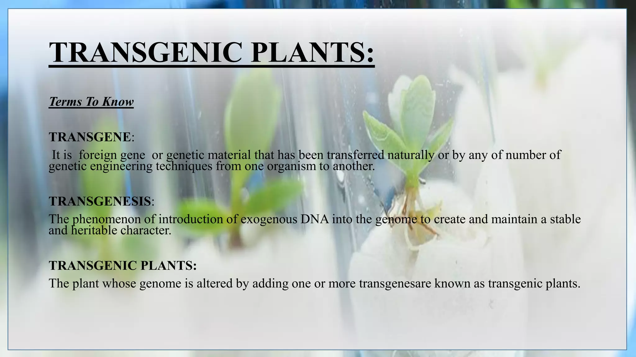 Plants Biotechnology.pptx