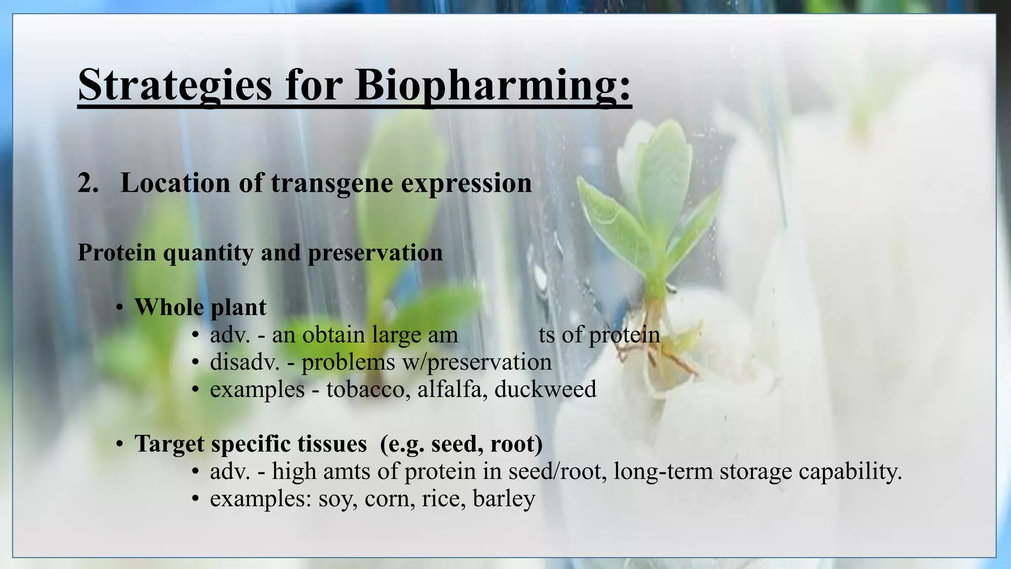 Plants Biotechnology.pptx