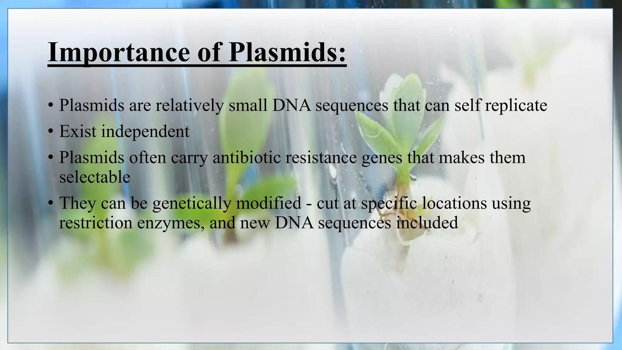 Plants Biotechnology.pptx