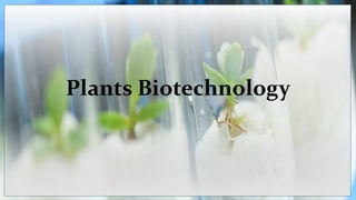 Plants Biotechnology.pptx