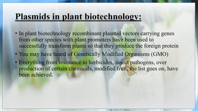Plants Biotechnology.pptx