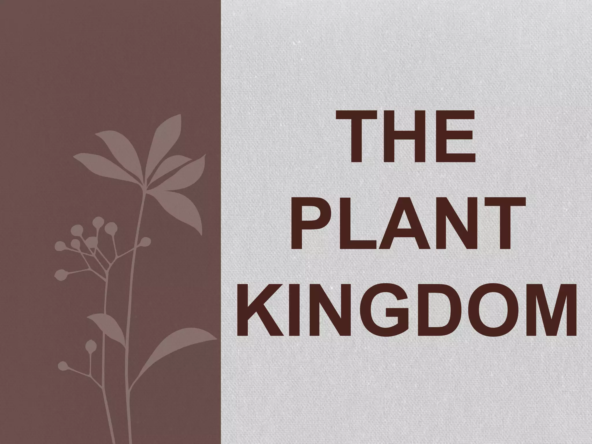 Plants Kingdom | PPTX