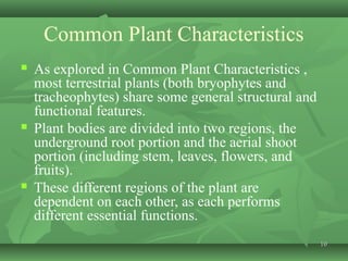 Plant science | PPT