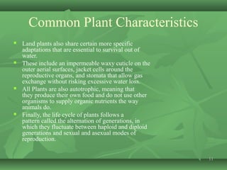 Plant science | PPT
