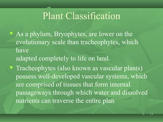 Plant science | PPT