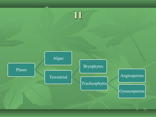 Plant science | PPT