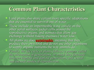 Plant science | PPT