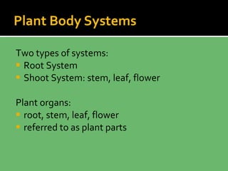 Plant Science part 1 | PPT