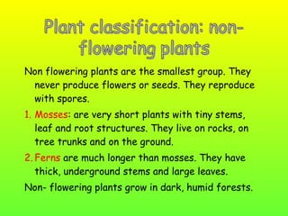 Plants classification | PPT