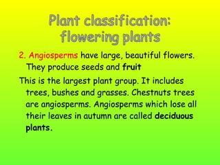 Plants classification | PPT