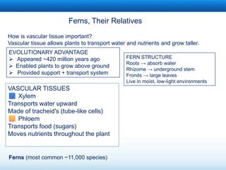 Comprehensive Overview of Plant Evolution, Structure, and Reproduction ...