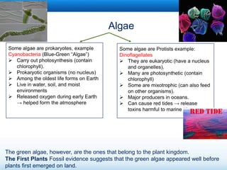 Comprehensive Overview of Plant Evolution, Structure, and Reproduction ...