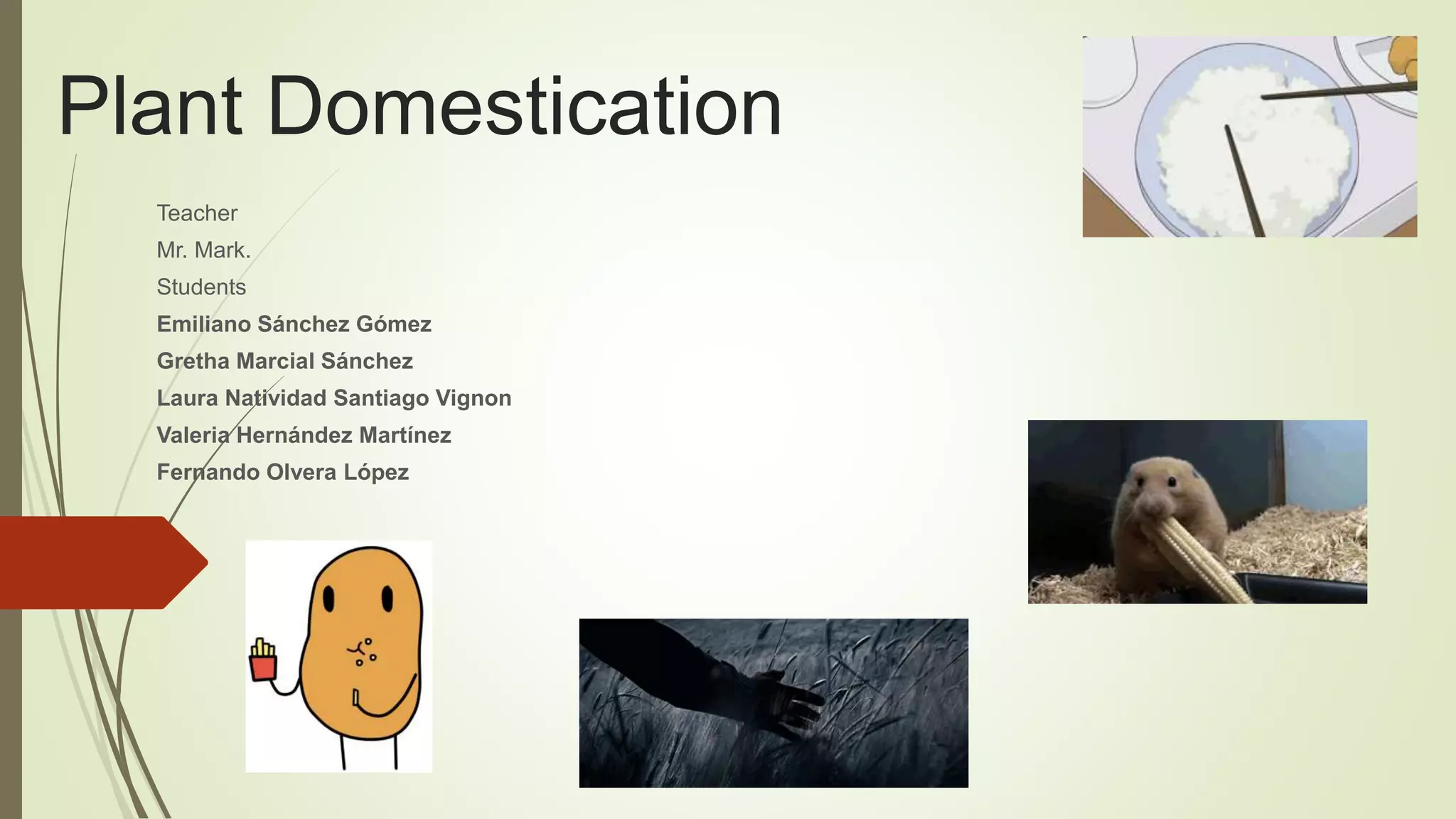 Plants domestication | PPTX