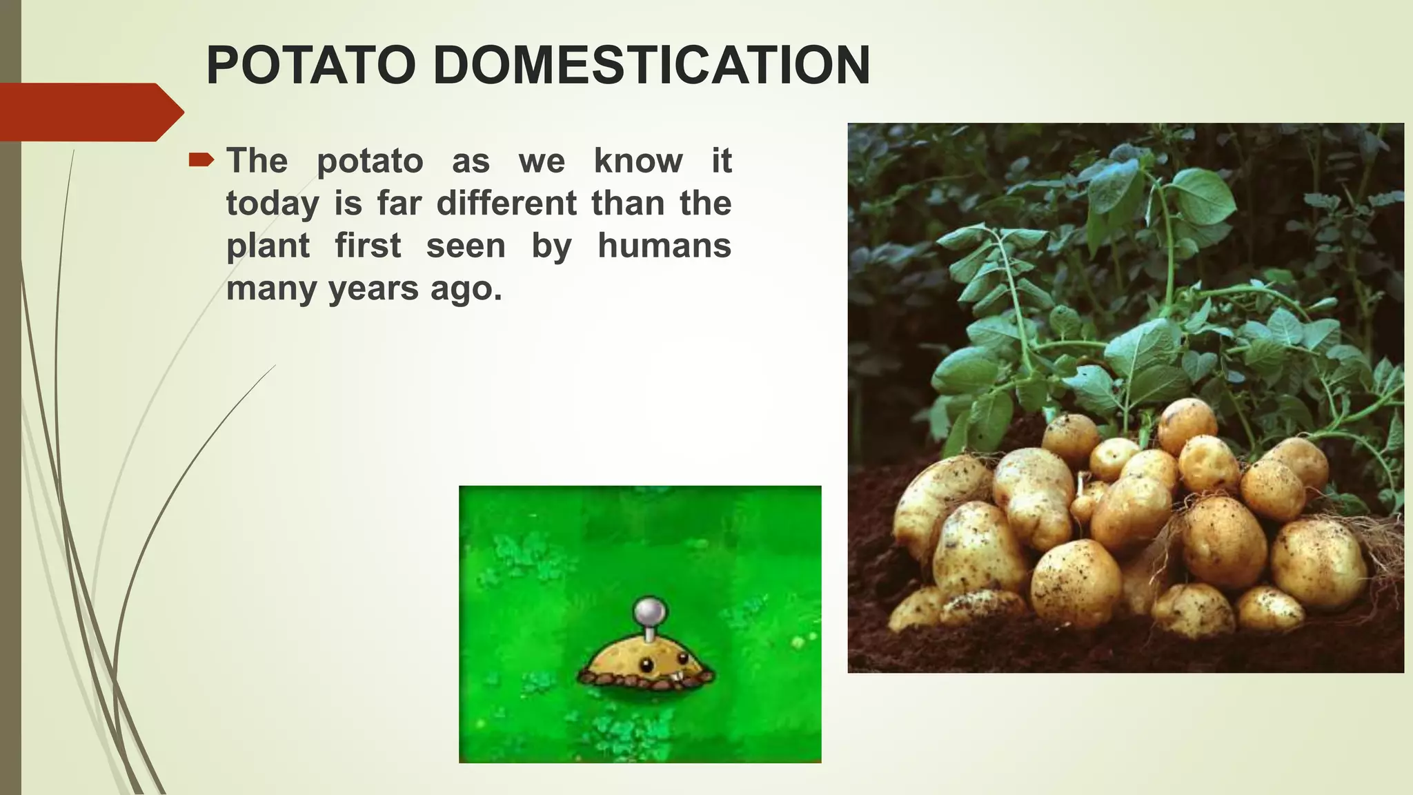 Plants domestication | PPTX