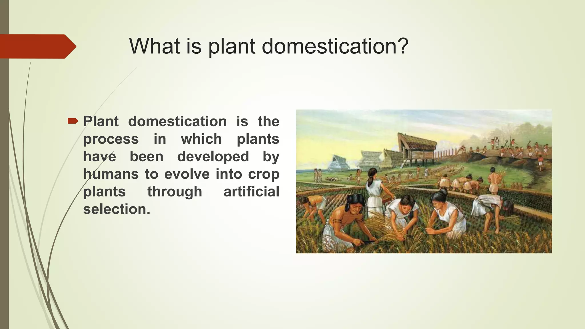 Plants domestication | PPTX