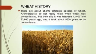 Plants domestication | PPTX