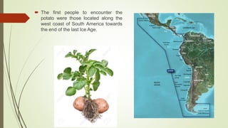 Plants domestication | PPTX