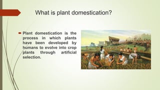 Plants domestication | PPTX