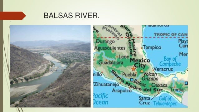 Plants domestication