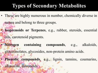 Plant secondary compounds lecture note.pptx