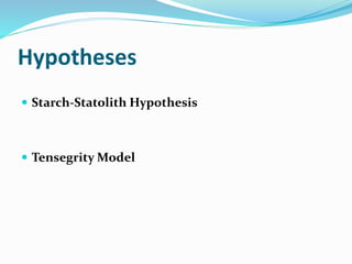 Plant secondary metabolism in altered gravity | PPTX | Biological ...