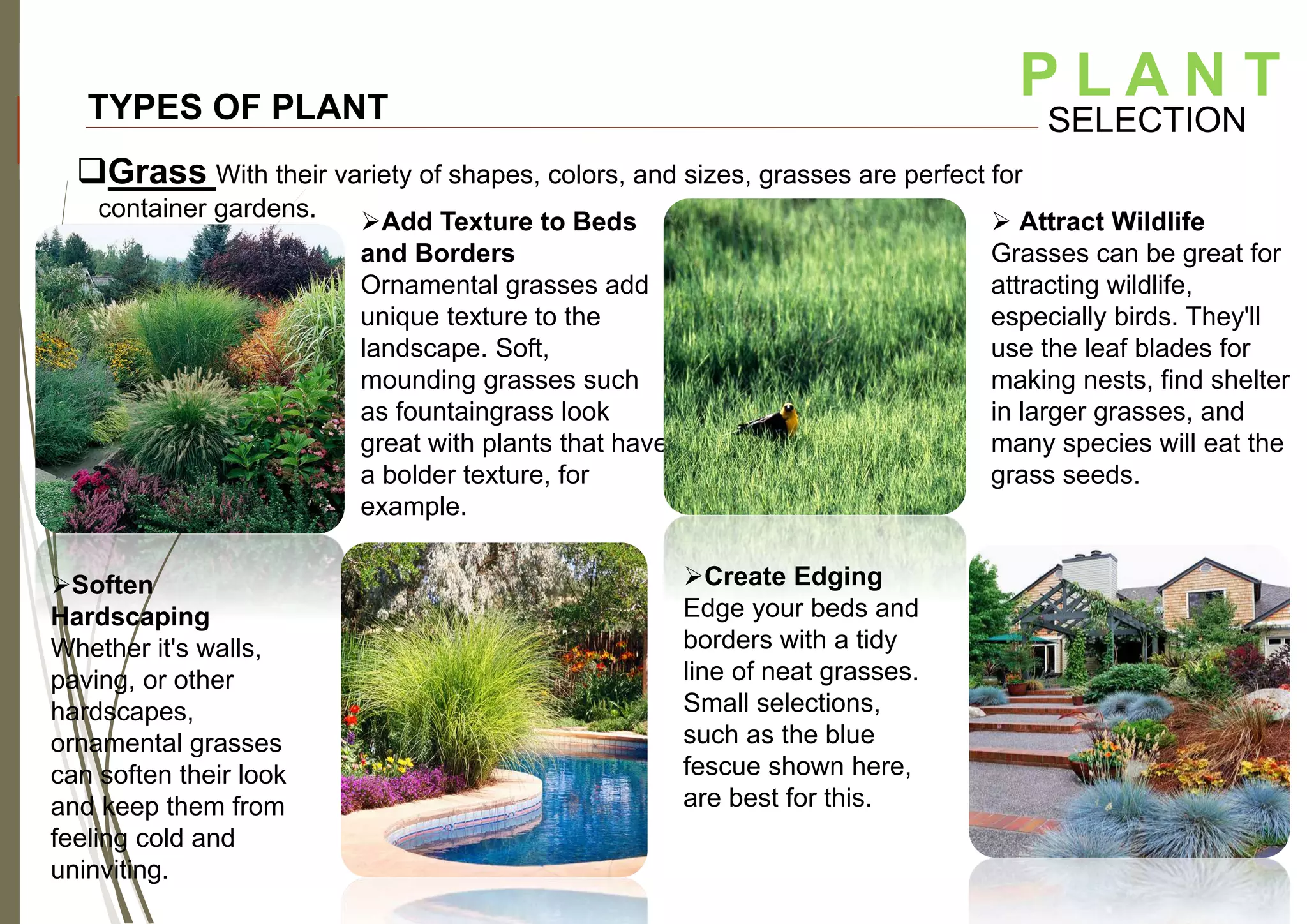 LANDSCAPE DESIGN | PPTX