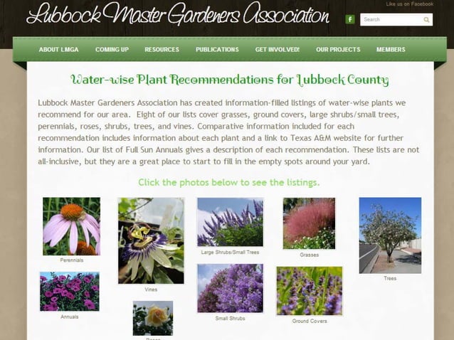 WATTS Conference- Water Wise Plants | PDF