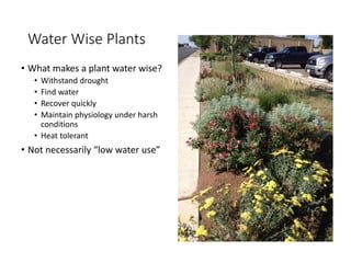 WATTS Conference- Water Wise Plants | PDF