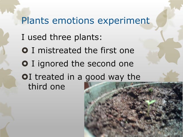 Plants emotions experiment | PPT