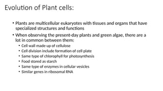 Plants Evolution for Grade 12 Students American Division | PPTX