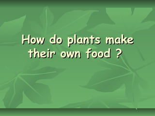 Plantsfood | PPT