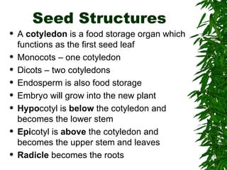 Plants for moodle | PPT