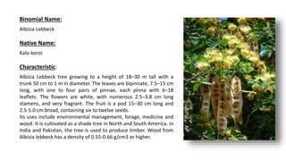 PLANTS FOR RIPARIAN BUFFER FOR BANGLADESH | PPT